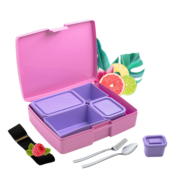 lunch-box-lavender-flowers | Lunchbox